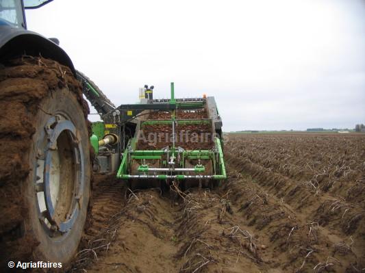 Tweedehands en nieuwe Aardappelrooiers te koop - Agriaffaires