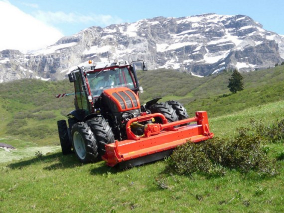 Tweedehands en nieuwe Bergtractors te koop - Agriaffaires